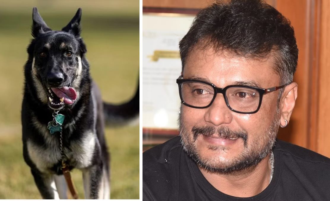 DARSHAN HOUSE DOG BITE WOMAN: ಮಹಿಳೆಗೆ ಕಚ್ಟಿದ ನಟ ದರ್ಶನ್ ಮನೆ ನಾಯಿಗಳು ...